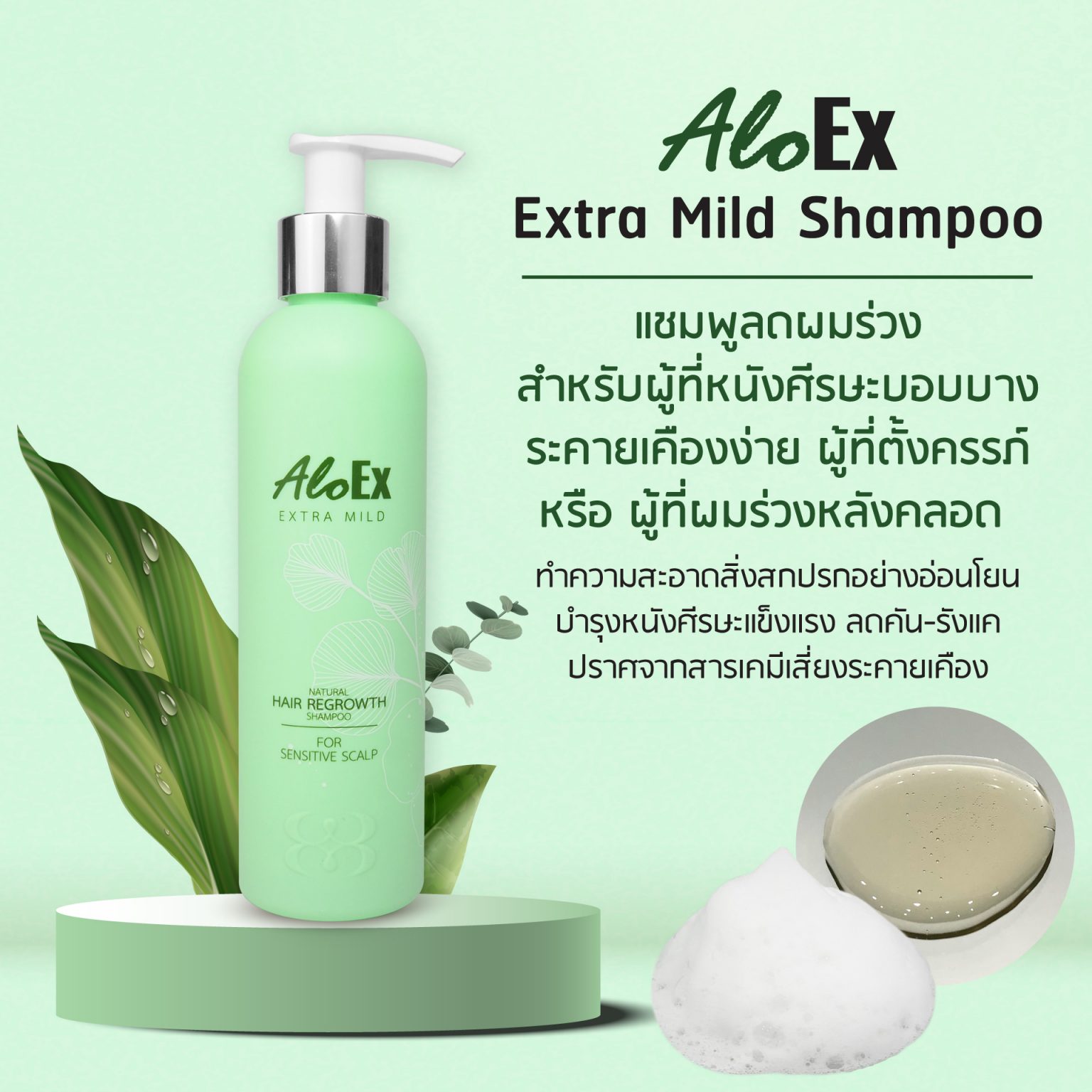 เทียบให้ชัด! แชมพูลดผมร่วง AloEx สูตรไหนที่ใช่สำหรับศีรษะและเส้นผมคุณ