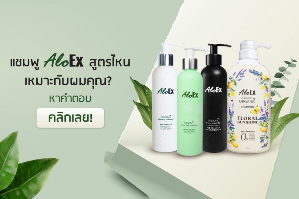 เทียบให้ชัด! แชมพูลดผมร่วง AloEx สูตรไหนที่ใช่สำหรับศีรษะและเส้นผมคุณ